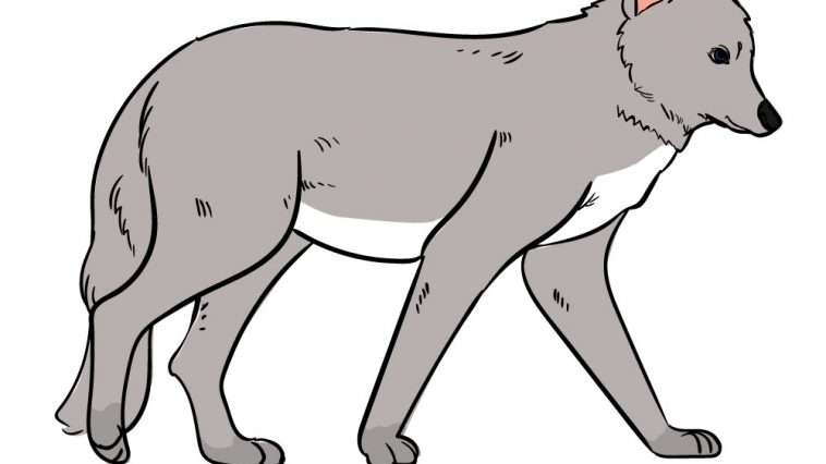 Dumbo Drawing - How To Draw Dumbo Step By Step