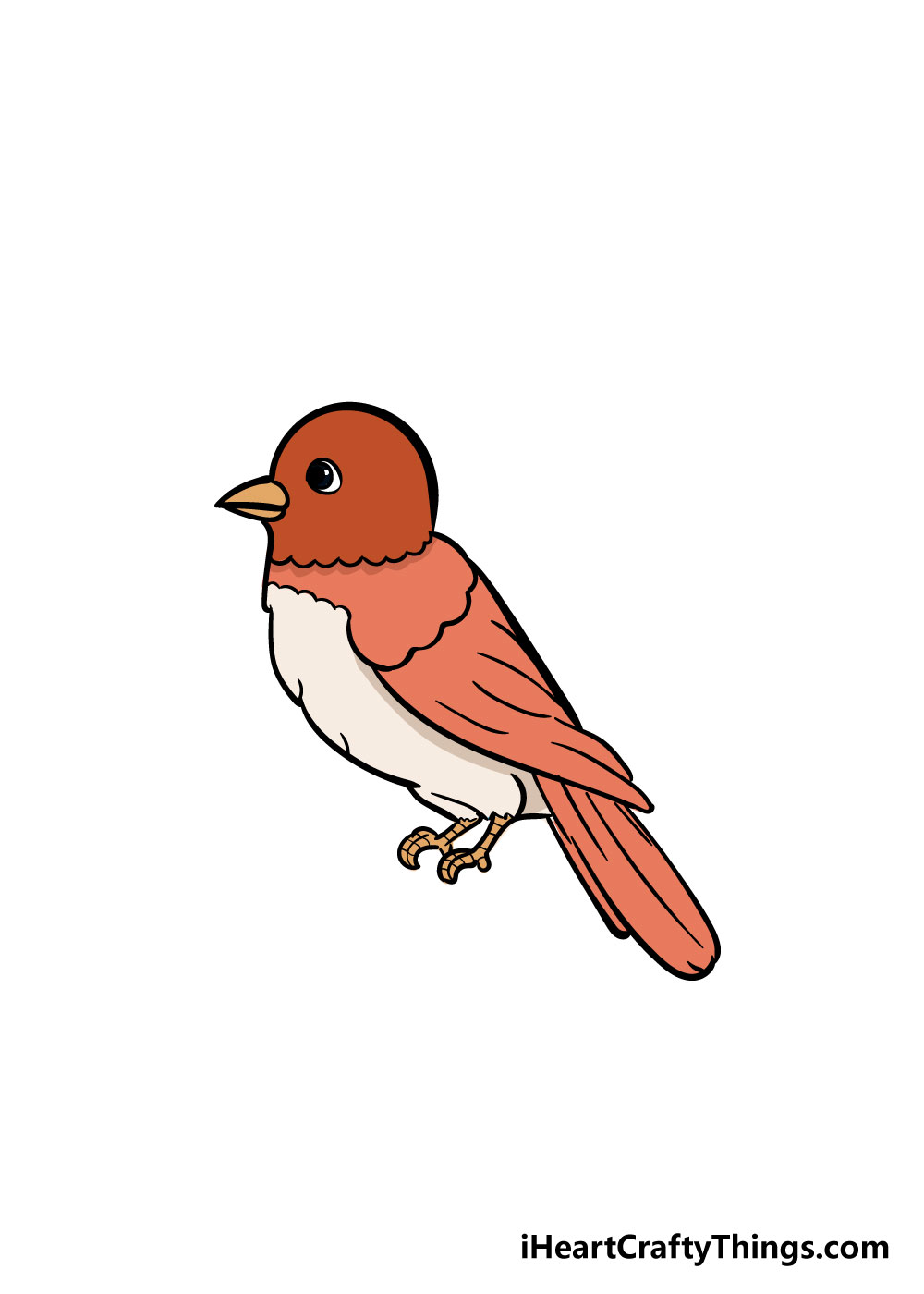 Bird Drawing How To Draw A Bird Step By Step 