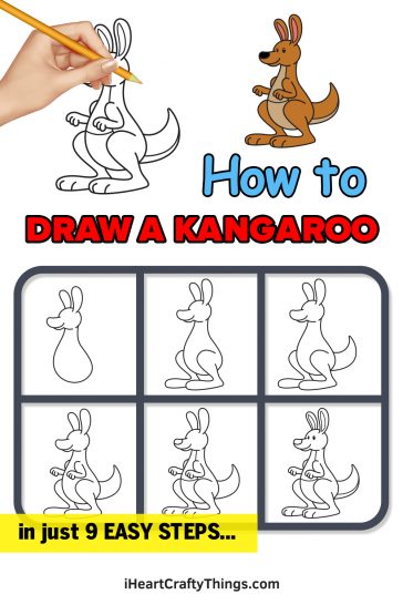 Kangaroo Drawing - How To Draw A Kangaroo Step By Step