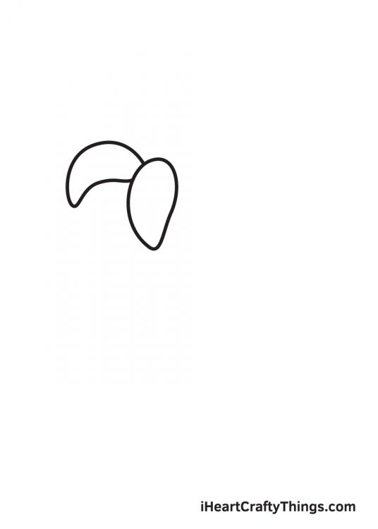 Lily Drawing - How To Draw A Lily Step By Step