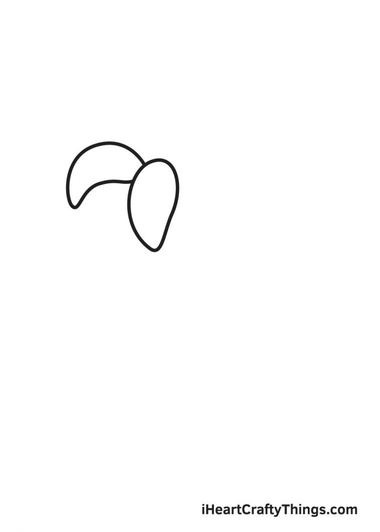 Lily Drawing - How To Draw A Lily Step By Step