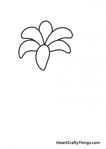 Lily Drawing - How To Draw A Lily Step By Step