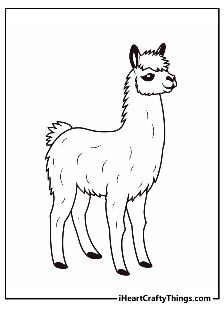 Llama Coloring Pages (100% Free Printables)