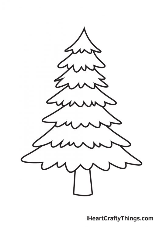 Pine Tree Drawing - How To Draw A Pine Tree Step By Step
