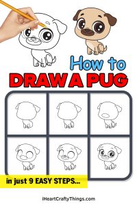 Pug Drawing - How To Draw A Pug Step By Step