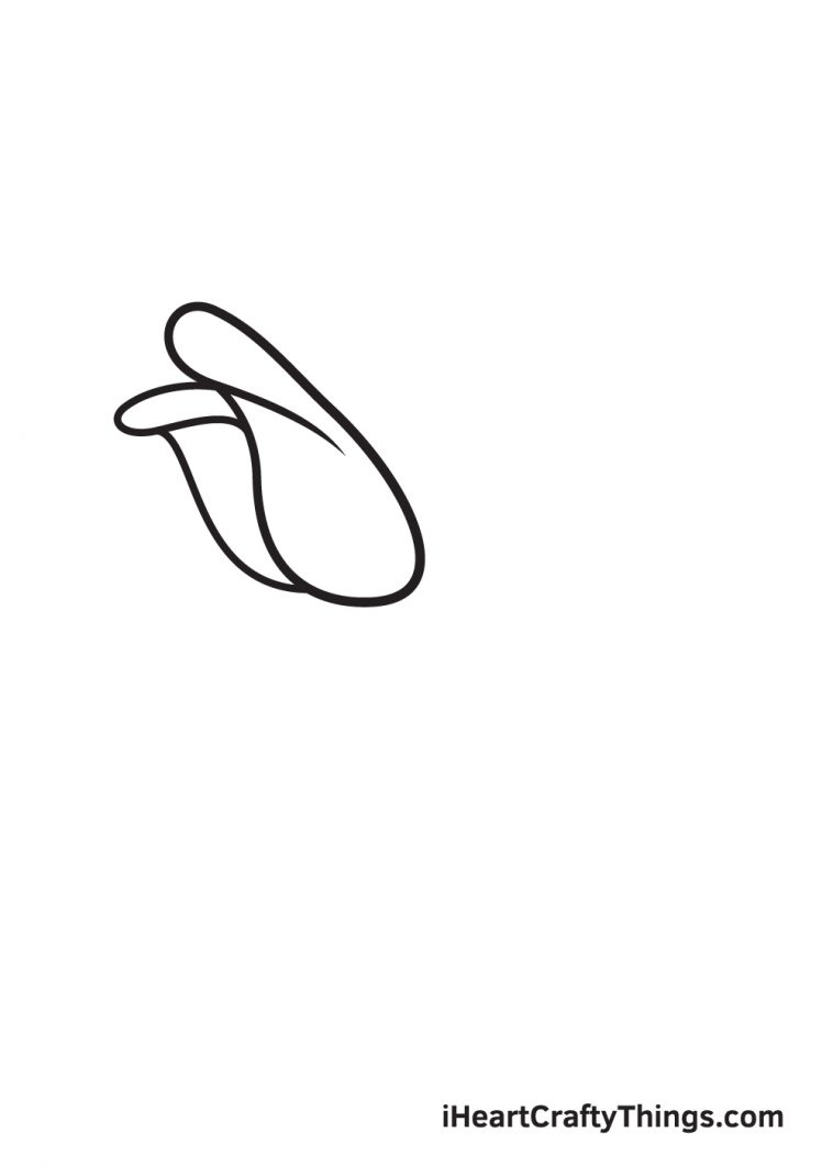 Rose Drawing - How To Draw A Rose Step By Step