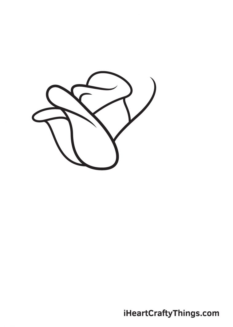 Rose Drawing - How To Draw A Rose Step By Step