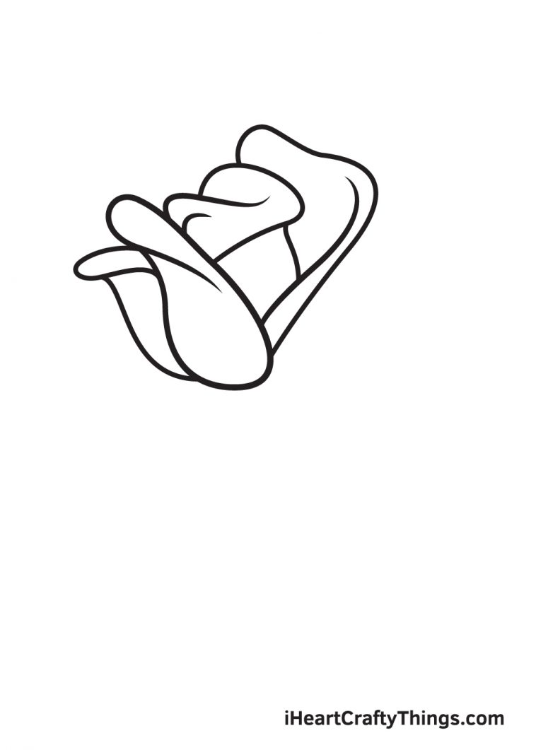 Rose Drawing - How To Draw A Rose Step By Step