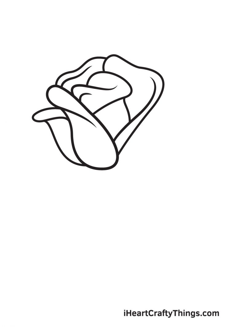 Rose Drawing - How To Draw A Rose Step By Step