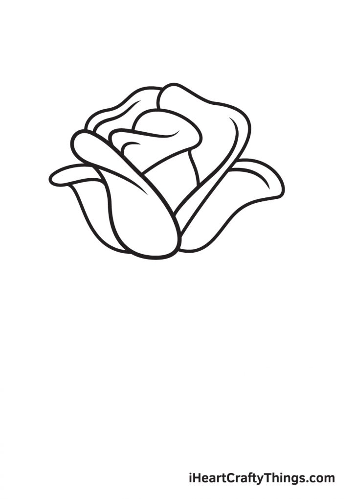Rose Drawing - How To Draw A Rose Step By Step