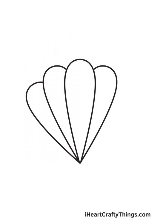 Seashell Drawing - How To Draw A Seashell Step By Step