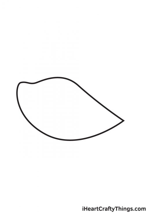 Shark Drawing - How To Draw A Shark Step By Step