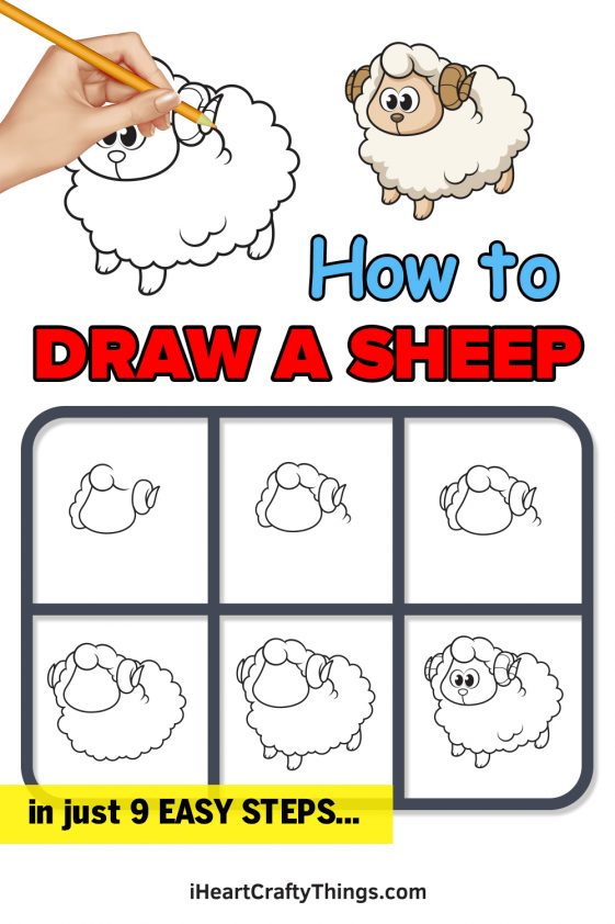 Sheep Drawing - How To Draw A Sheep Step By Step