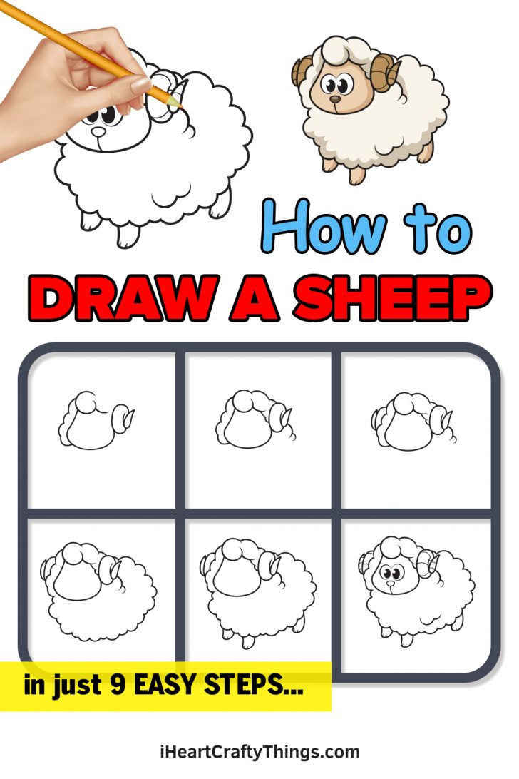 Sheep Drawing - How To Draw A Sheep Step By Step