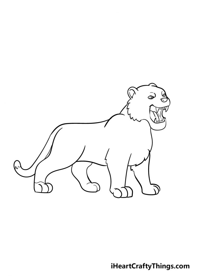 Tiger Drawing - How To Draw A Tiger Step By Step