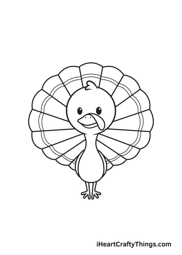 Turkey Drawing - How To Draw A Turkey Step By Step