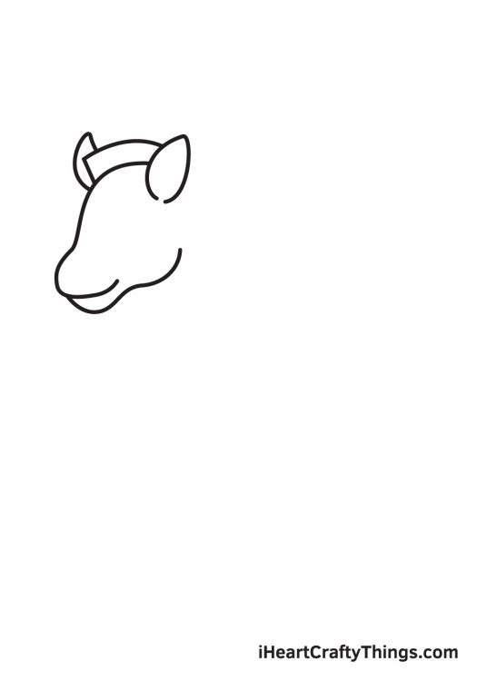 Zebra Drawing - How To Draw A Zebra Step By Step