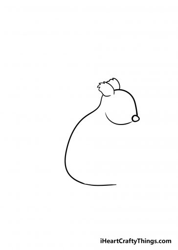 Squirrel Drawing - How To Draw A Squirrel Step By Step