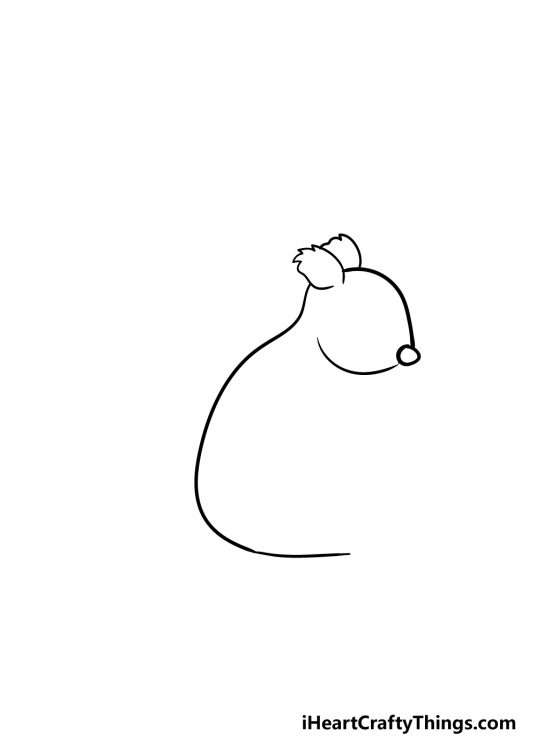 Squirrel Drawing - How To Draw A Squirrel Step By Step