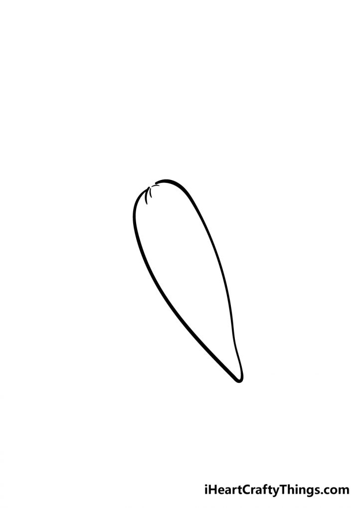 Carrot Drawing - How To Draw A Carrot Step By Step