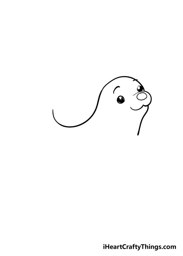 Seal Drawing - How To Draw A Seal Step By Step