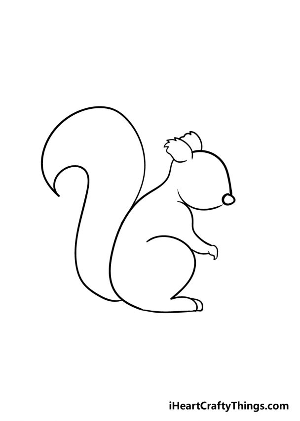 Squirrel Drawing - How To Draw A Squirrel Step By Step