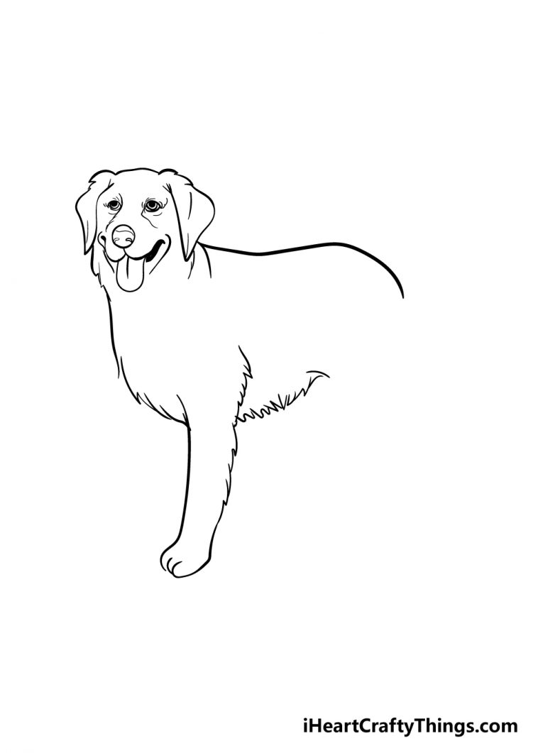 Golden Retriever Drawing - How To Draw A Golden Retriever Step By Step