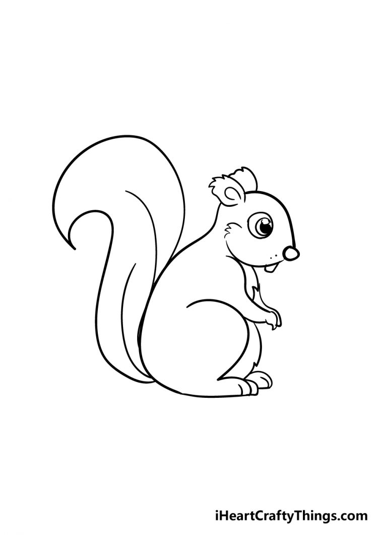 Squirrel Drawing How To Draw A Squirrel Step By Step