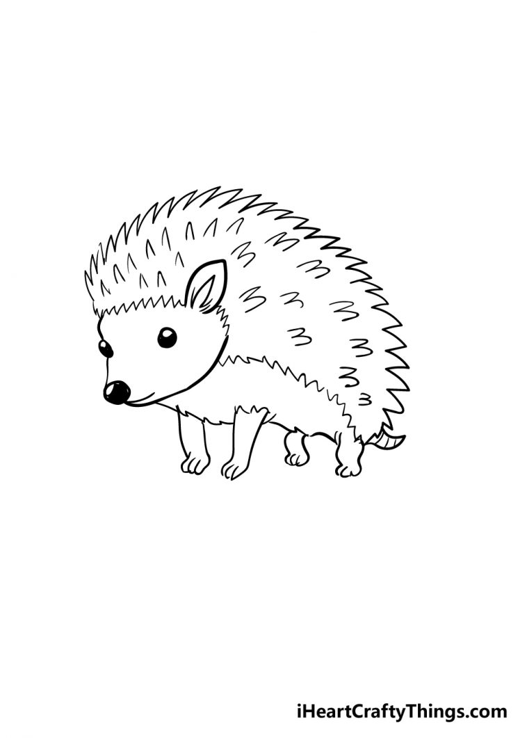 Hedgehog Drawing - How To Draw A Hedgehog Step By Step