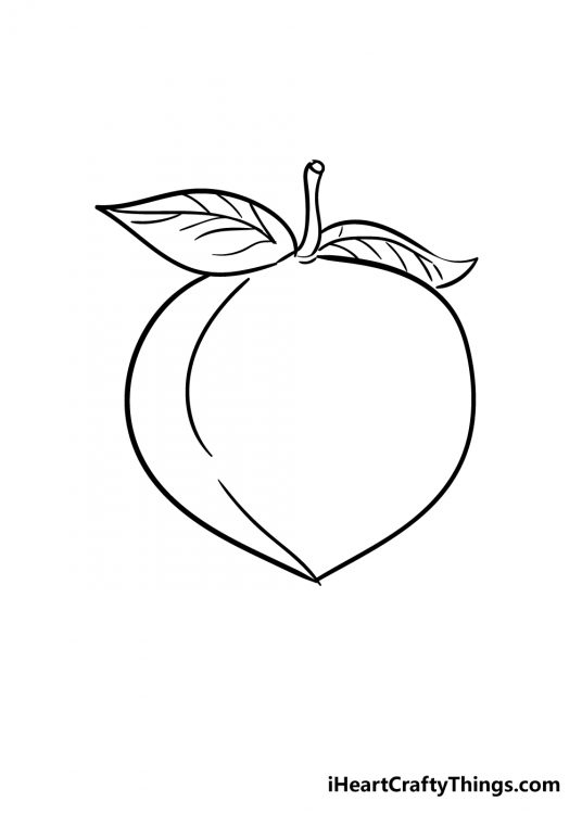 Peach Drawing - How To Draw A Peach Step By Step