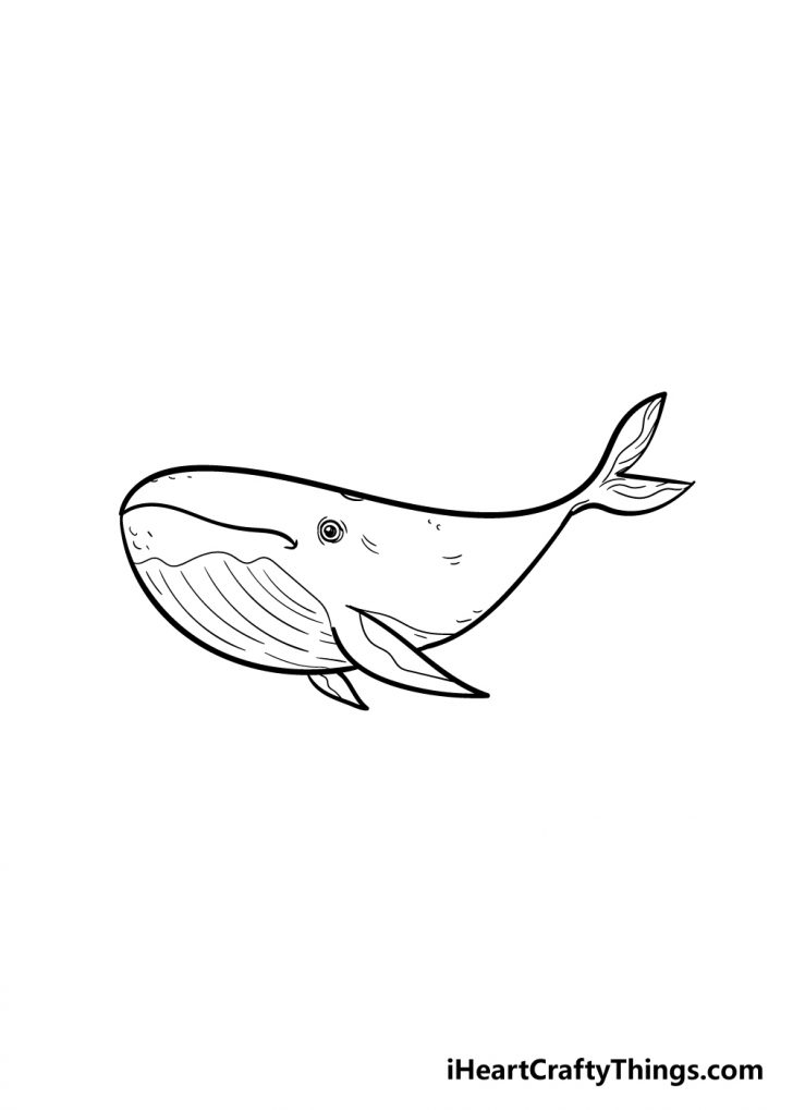 How To Draw A Whale Step By Step: Easy Whale Drawing For Kids