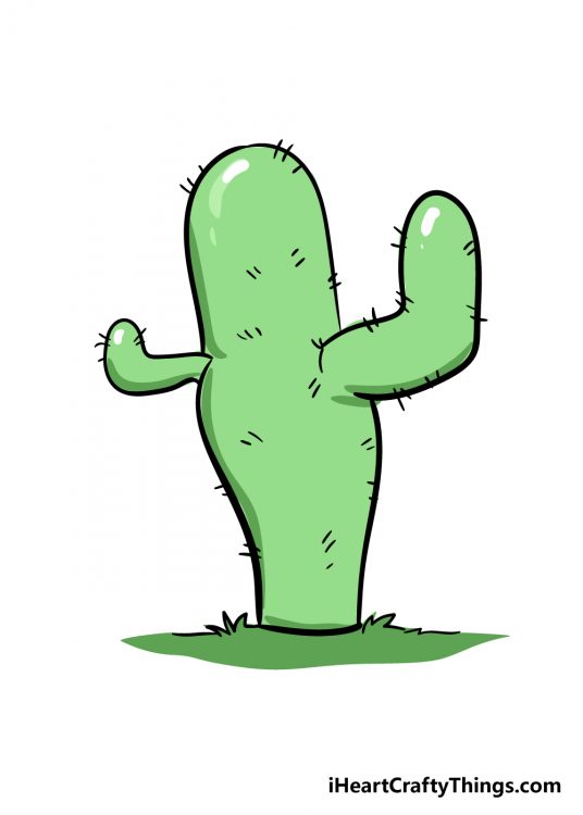 Cactus Drawing - How To Draw A Cactus Step By Step