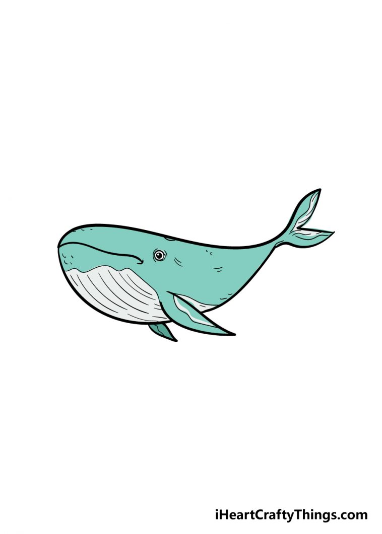 How To Draw A Whale Step By Step: Easy Whale Drawing For Kids
