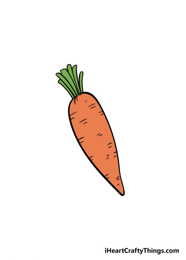 Carrot Drawing - How To Draw A Carrot Step By Step