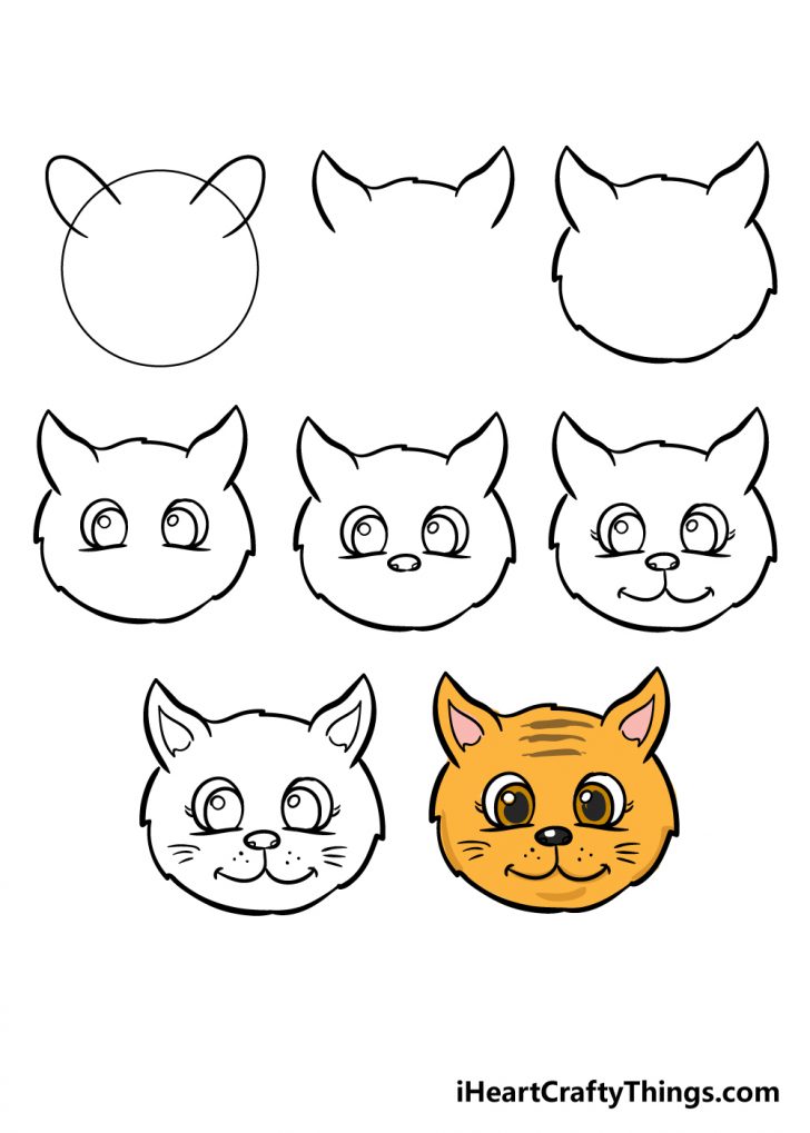 Cat Face Drawing How To Draw A Cat Face Step By Step 