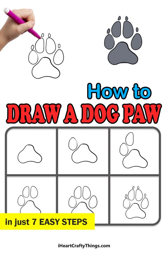 Dog Paw Drawing - How To Draw A Dog Paw Step By Step