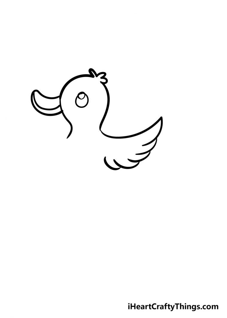 Duck Drawing - How To Draw A Duck Step By Step