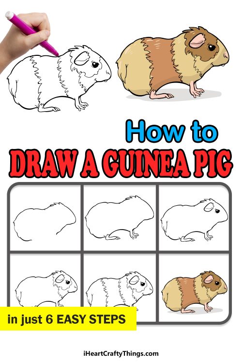 A Christmas Gini Pig Easy to Draw - Bressler Ablion