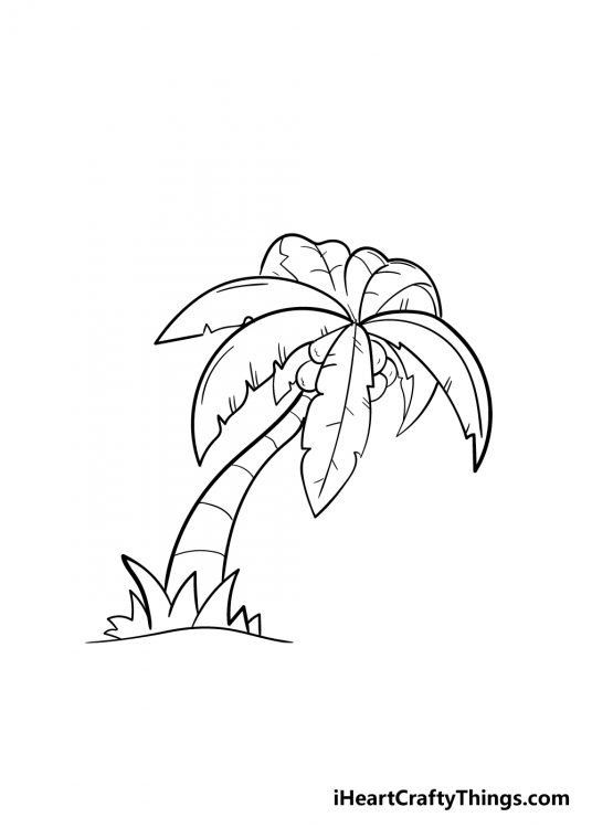 Palm Tree Drawing - How To Draw A Palm Tree Step By Step