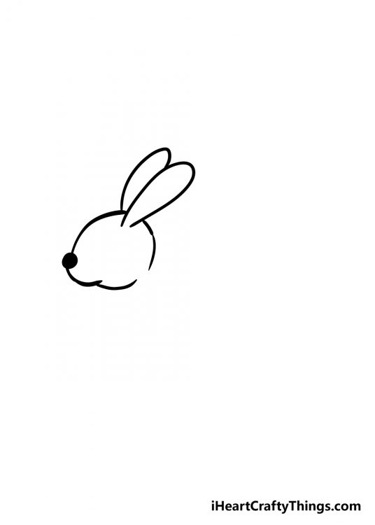 Rabbit Drawing - How To Draw A Rabbit Step By Step