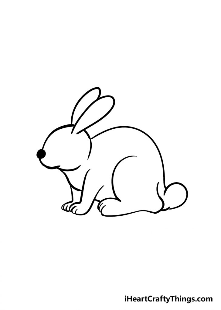 Rabbit Drawing - How To Draw A Rabbit Step By Step