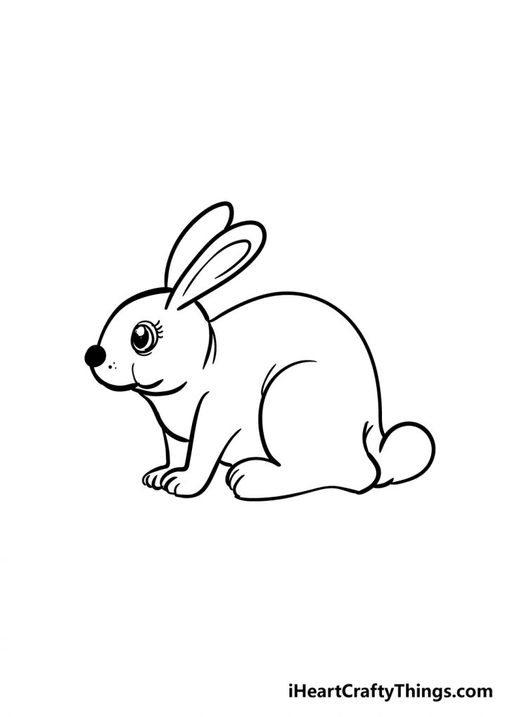 Rabbit Drawing - How To Draw A Rabbit Step By Step