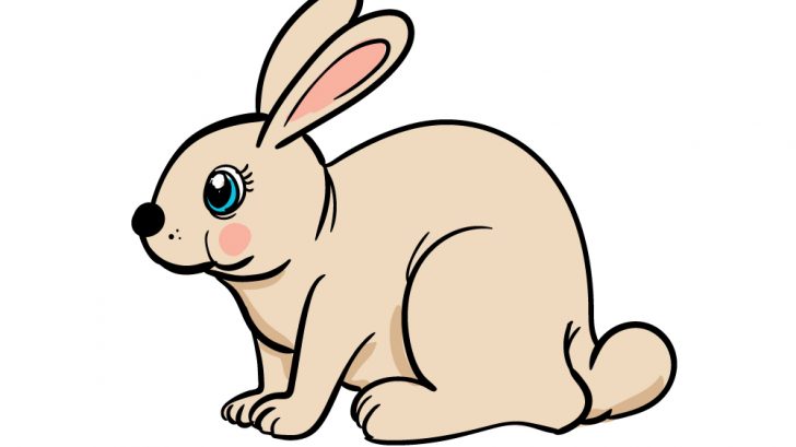 Cartoon Rabbit Drawing - How To Draw A Cartoon Rabbit Step By Step
