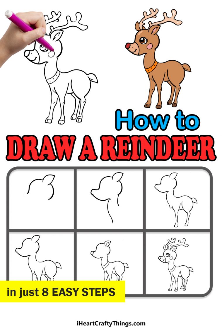 Reindeer Drawing - How To Draw A Reindeer Step By Step
