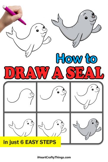 Seal Drawing - How To Draw A Seal Step By Step