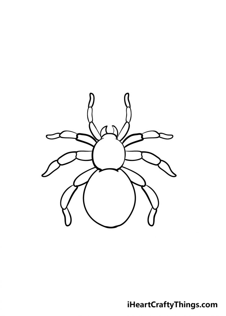 Spider Drawing - How To Draw A Spider Step By Step