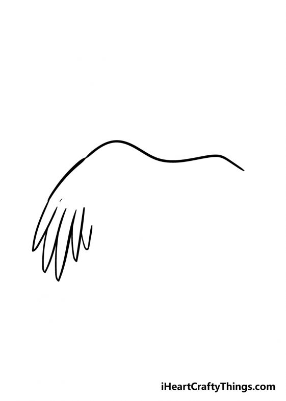 Wing Drawing - How To Draw A Wing Step By Step