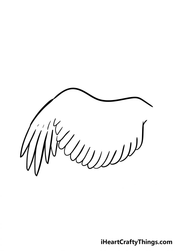 Wing Drawing - How To Draw A Wing Step By Step