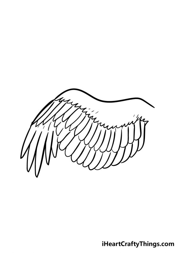 Wing Drawing - How To Draw A Wing Step By Step