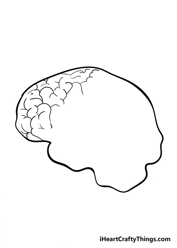 Brain Drawing - How To Draw A Brain Step By Step